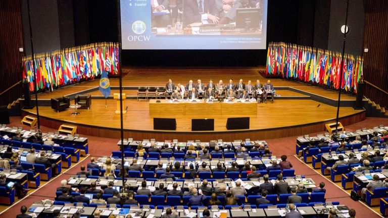 OPCW Must Come Clean: Open Letter To States’ Representatives – Dr Piers ...